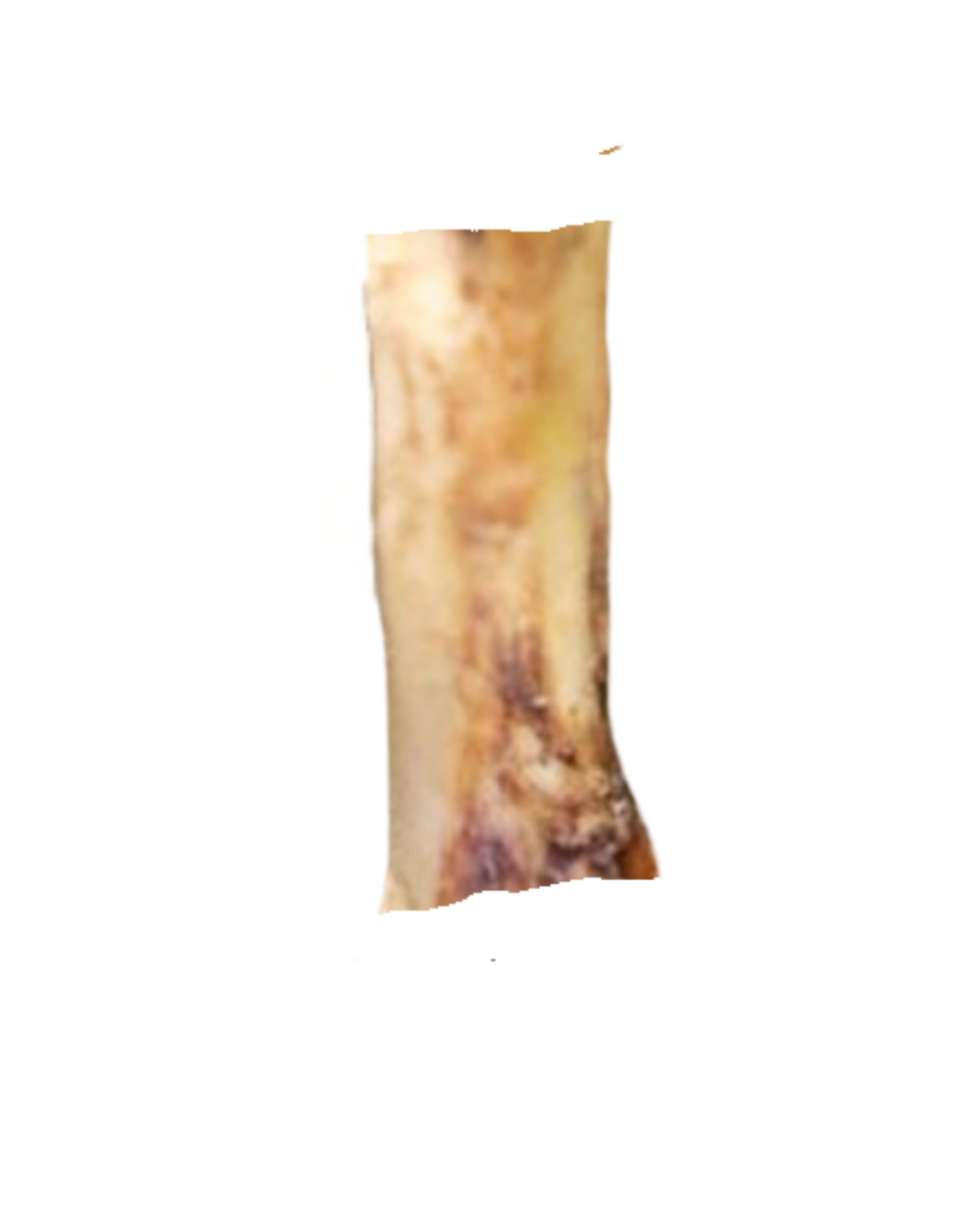 Beef Femur Bones - All Natural – Tasteful Pets